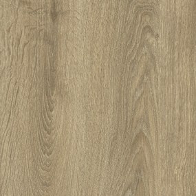 IVC Commercial, PVC podlaha - lino Logitex Ultimate 55 Elias T47, na míru, šíře 2m,4m, hnědá, filc, chodba / předsíň