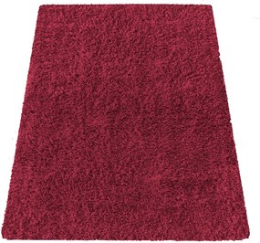 DY Červený neklouzavý koberec shaggy Camel Rozměr: 200x290 cm
