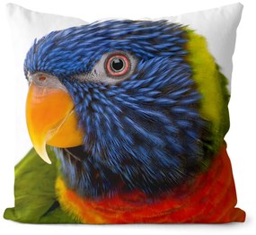 IMPAR Polštář Barevný papoušek 40x40 cm (Velikost: 40 x 40 cm)