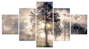 Obraz stromu v mlze (125x70 cm)