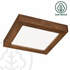 Brilagi-LED Stmívatelné svítidlo WOODY FRAME LED/24W/230V dub 30x30 cm IP44 + DO