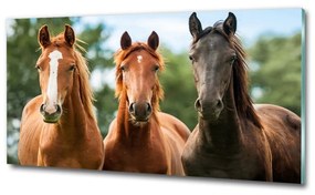 Wallmuralia Moderní skleněný obraz z fotografie Tři koně 100x50