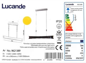 Lucande - LED Stmívatelný lustr na lanku EBBA 5xLED/5W/230V 4251096537253