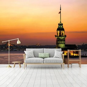 Fototapeta - Istanbul City Urban (254x184 cm)