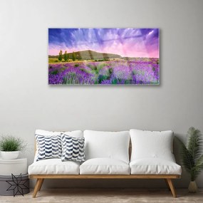 Obraz na skle Louka Květiny Hory Příroda 120x60 cm