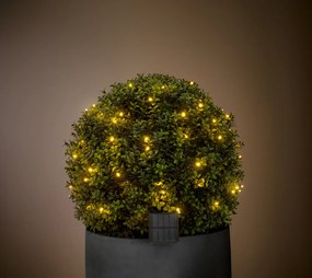 Livarno® Solární světelný LED řetěz, 100 LED (teplá bílá)