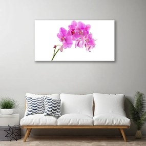 Obraz na skle Vstavač Květ Orchidej 140x70 cm