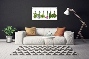 Obraz na plátně Sušené Byliny Listy Květiny 100x50 cm