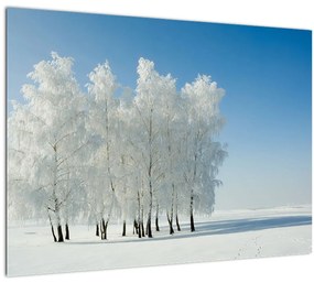 Skleněný obraz  zasněžené krajiny (70x50 cm)