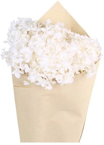 Bílá dekorace sušená květina hortenzie Hydrangea Flower - 60 cm