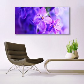 Plexisklo-obraz Fialové Květiny Příroda 120x60 cm