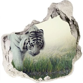 Wallmuralia Díra 3D fototapeta nálepka Bílý tygr 75x75 cm
