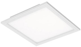 Briloner | Briloner 7191-016 - LED Stropní svítidlo SIMPLE LED/12W/230V | BL0913