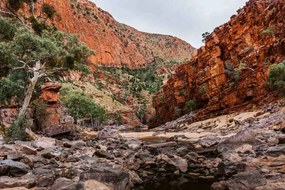 DIMEX | Samolepicí vliesová fototapeta na zeď Australský národní park MA-5-1679 | 375 x 250 cm | zelená, oranžová, šedá