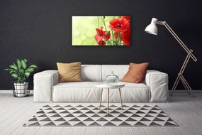 Obraz na plátně Máky Květiny Příroda 125x50 cm