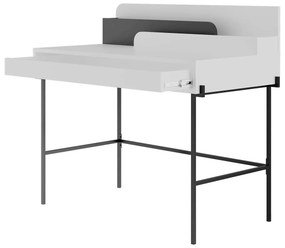 Kalune design Psací stůl LEILA bílo-šedý 793ELG3808