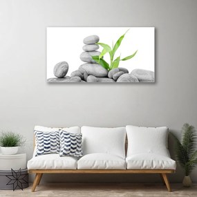 akrylový obraz Kameny Listy Umění 100x50 cm