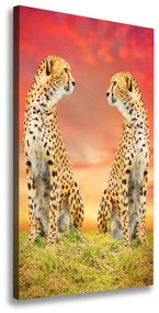 Wallmuralia Vertikální Vertikální Foto obraz na plátně do obýváku Dva gepardi 50x100