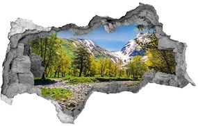 Wallmuralia Díra 3D ve zdi nálepka Řeka v horách 95x73 cm
