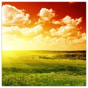 Obraz louky se zářícím sluncem (30x30 cm)