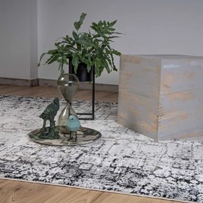 Obsession Kusový koberec My Phoenix 120 Grey Rozměr koberce: 240 x 340 cm