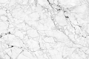 DIMEX | Vliesová fototapeta Textura bílého mramoru MS-5-2476 | 375 x 250 cm | bílá, černá