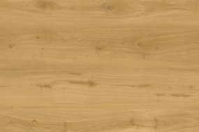 XXXLutz VINYLOVÁ PODLAHA (m²) přírodní barvy Econfloor - Vinylové podlahy - 0045800006
