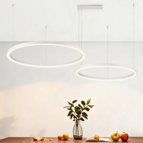 Brilagi - LED Stmívatelný lustr na lanku PORTOFINO LED/98W/230V bílá + DO