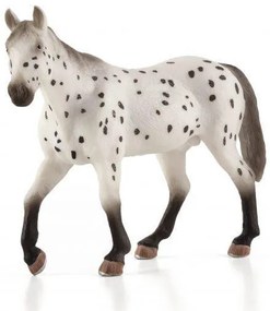 Mojo Appaloosa hřebec