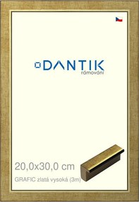 DANTIK rámeček 20x30 | GRAFIC zlatá vysoká (Sklo Čiré)