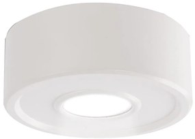 Shilo 7204 - LED Stropní svítidlo ENA IL LED/10W/230V 3000K CRI 90 bílá