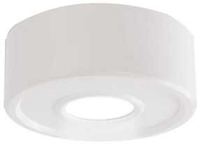 Shilo-Amplex Shilo 7204 - LED Stropní svítidlo ENA IL LED/10W/230V 3000K CRI 90 bílá AML0089