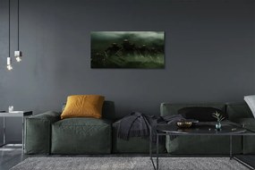 Obrazy na plátně Zombie mraky 100x50 cm
