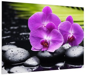 Obraz orchidejí (70x50 cm)