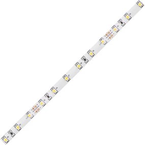 LED pásek McLED studená bílá 4,8W/m IP20 24V 8mm ML-126.206.60.2