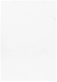 Vopi | Kusový koberec Pouffy 5100 white - 80 x 250 cm