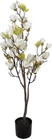 Dekorační stromek Magnolia s bílými květy - 20*15*120 cm