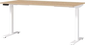 Polohovací pracovní stůl s elektricky nastavitelnou výškou s deskou v dubovém dekoru 80x160 cm Jet – Germania