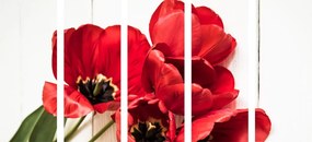 5-dílný obraz červené tulipány v rozkvětu Varianta: 100x50