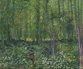 Vincent van Gogh - Obrazová reprodukce Trees and Undergrowth, 1887, (40 x 35 cm)
