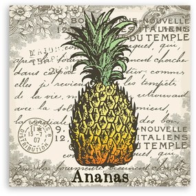 Obraz na plátně, Vintage ananas - 30x30 cm