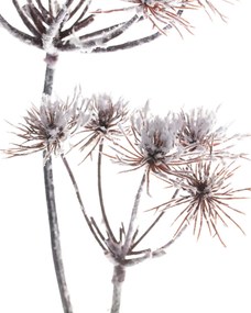 Větvička Thistle white 100cm