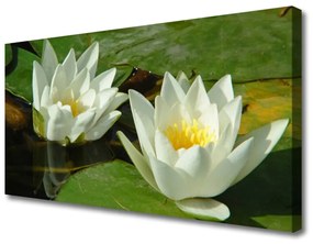 Obraz na plátně Květiny Rostliny Příroda 100x50 cm