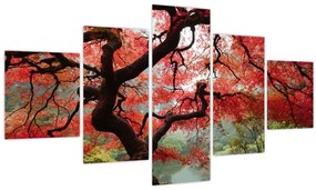 Obraz červeného japonského javoru, Portland, Oregon (125x70 cm)