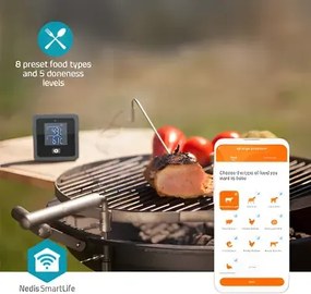 Nedis Teploměr na maso SmartLife šedá / Teploměr / Bluetooth / 2 sondy