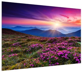 Obraz horské rozkvetlé krajiny (100x70 cm)