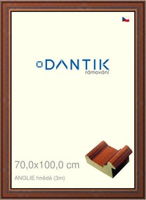 DANTIK rámeček 70x100 | ANGLIE hnědá (Plexi Čiré)