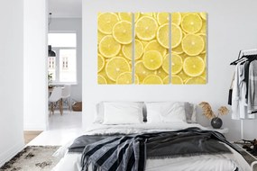 Vícedílný obraz Plátky Citronu Nedostatek Nedostatek Plátno Canvas 180x120