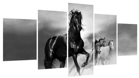 Obraz koně (150x80 cm)