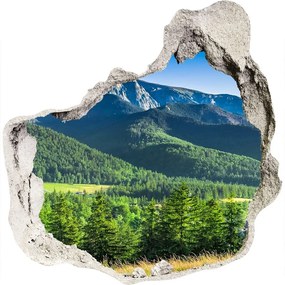 Wallmuralia Nálepka fototapeta 3D Skokanský můstek Tatry 75x75 cm